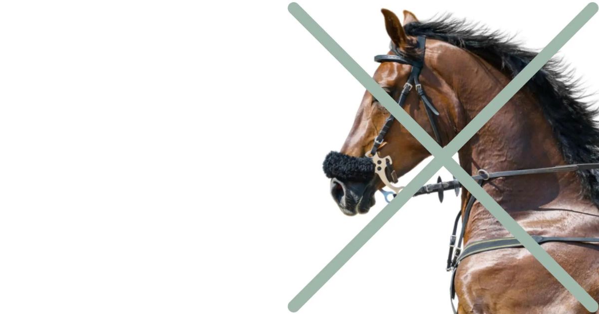 The hackamore and the lever principle – Challenges and experiences ...